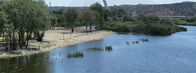 La zona de paseo de Los Arenales se abrirá al público este sábado de ...